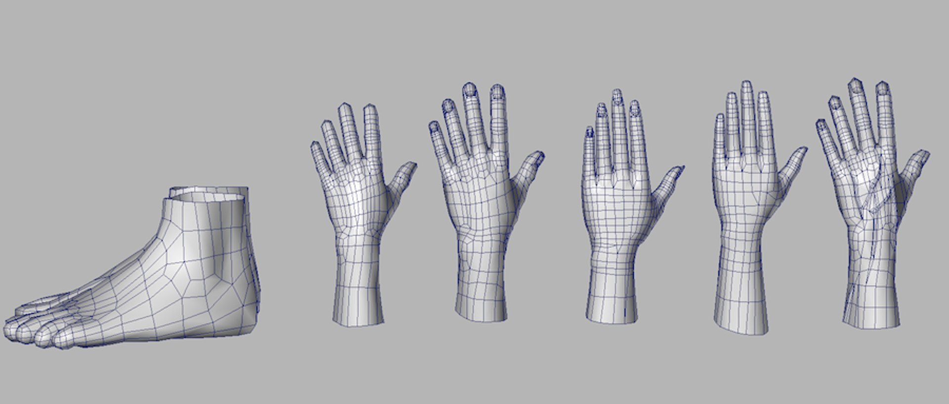 Free Human Hands Feet Foot 3d Model
