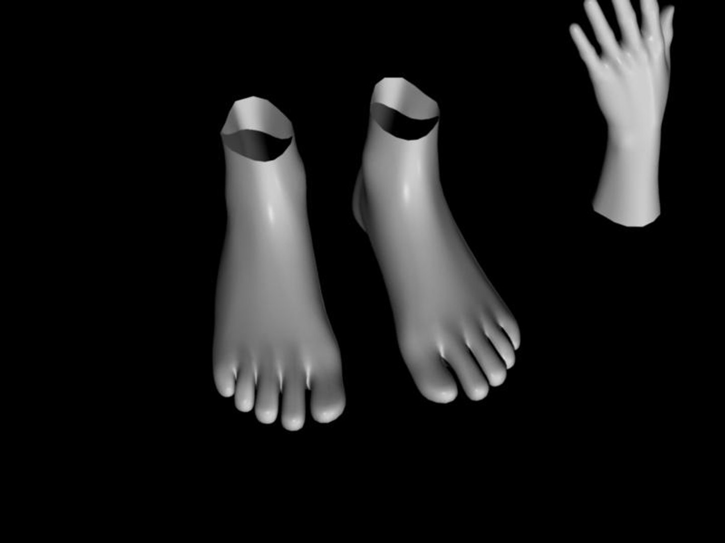Free Human Hands Feet Foot 3d Model