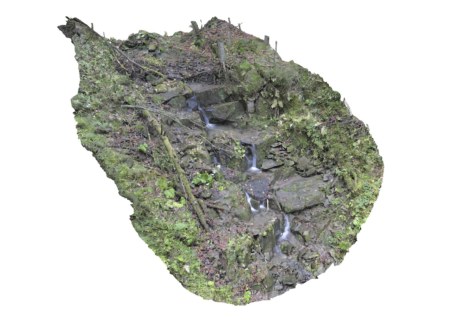 Forest Asset Hd Model - TurboSquid 1641024