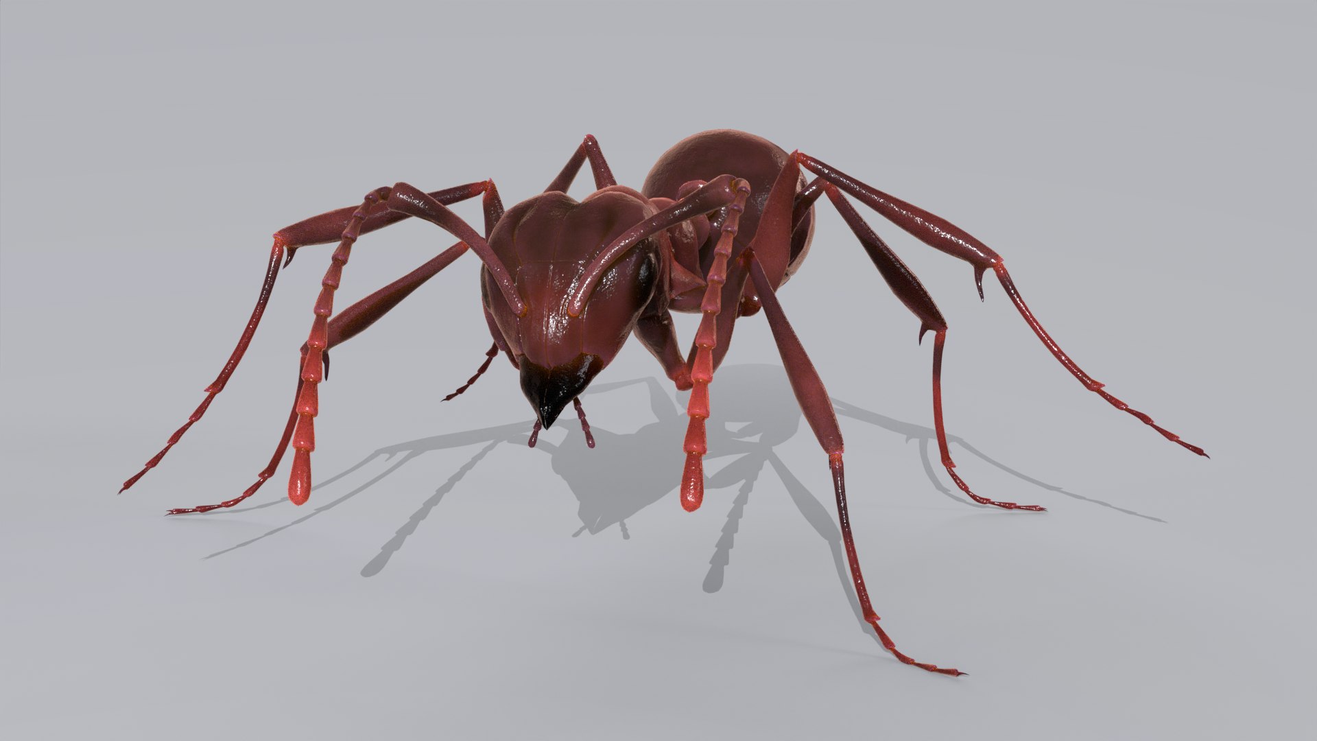 Ant Rigged Animated Red Black Insect Low Poly 3D Model - TurboSquid 2331282