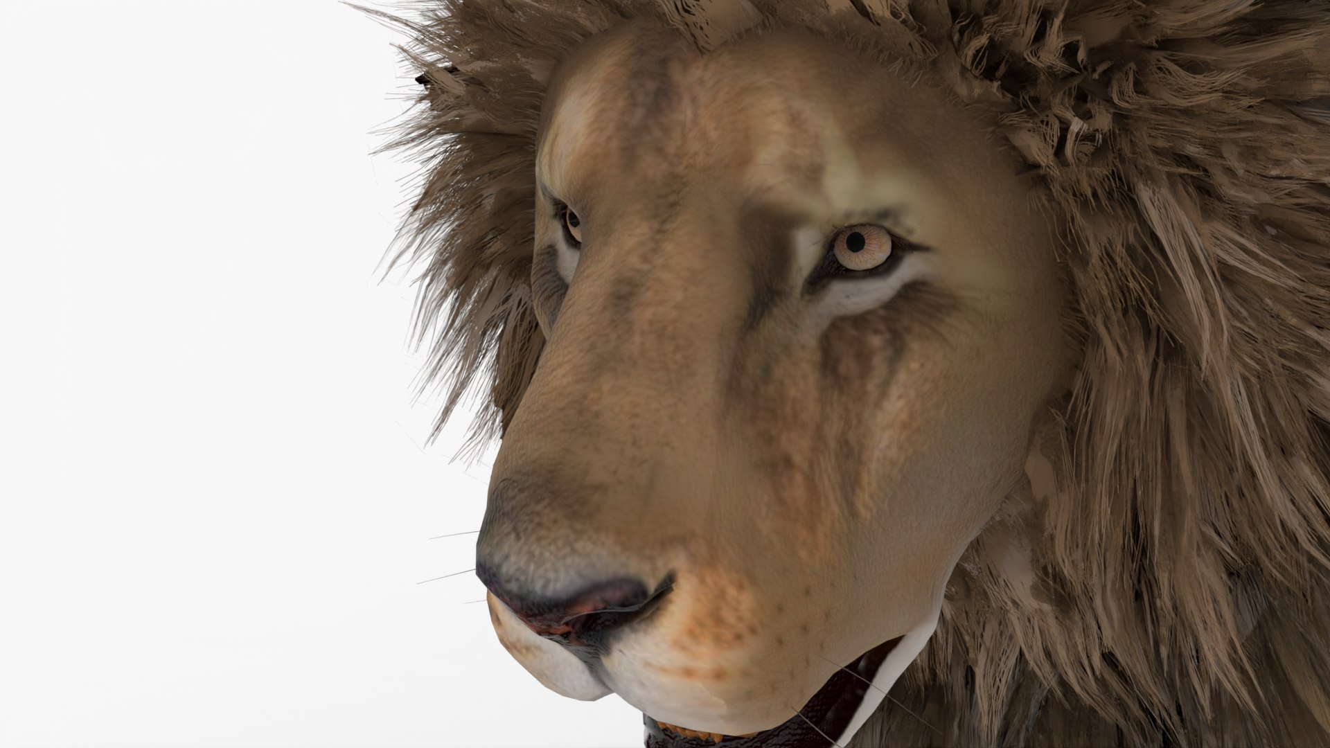 Realistic Scan Lion 3D model - TurboSquid 2067630