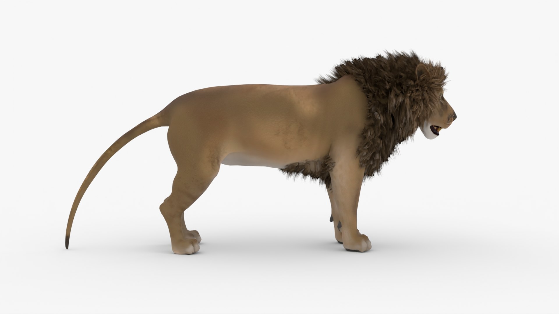 Realistic Scan Lion 3D model - TurboSquid 2067630