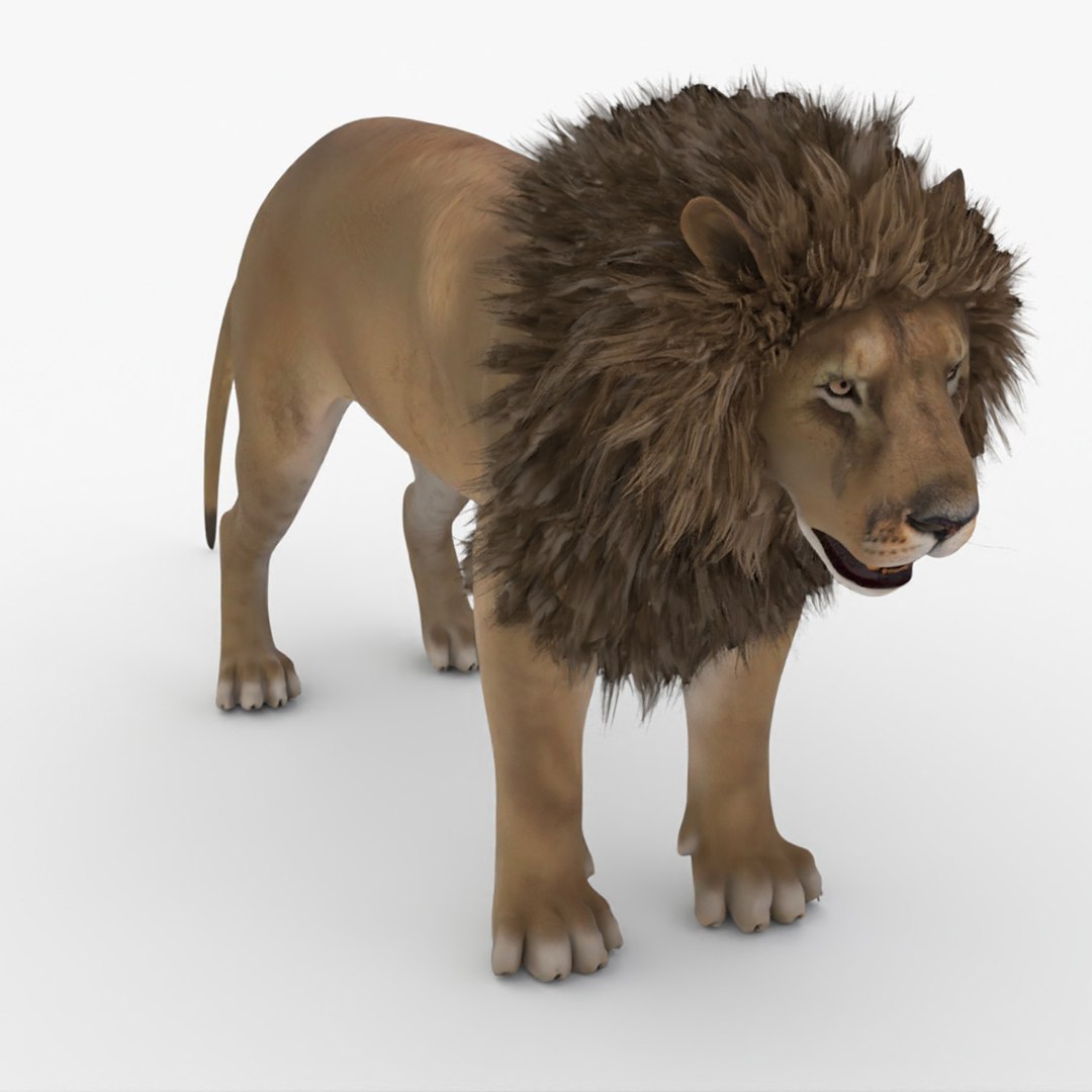 Realistic Scan Lion 3D model - TurboSquid 2067630