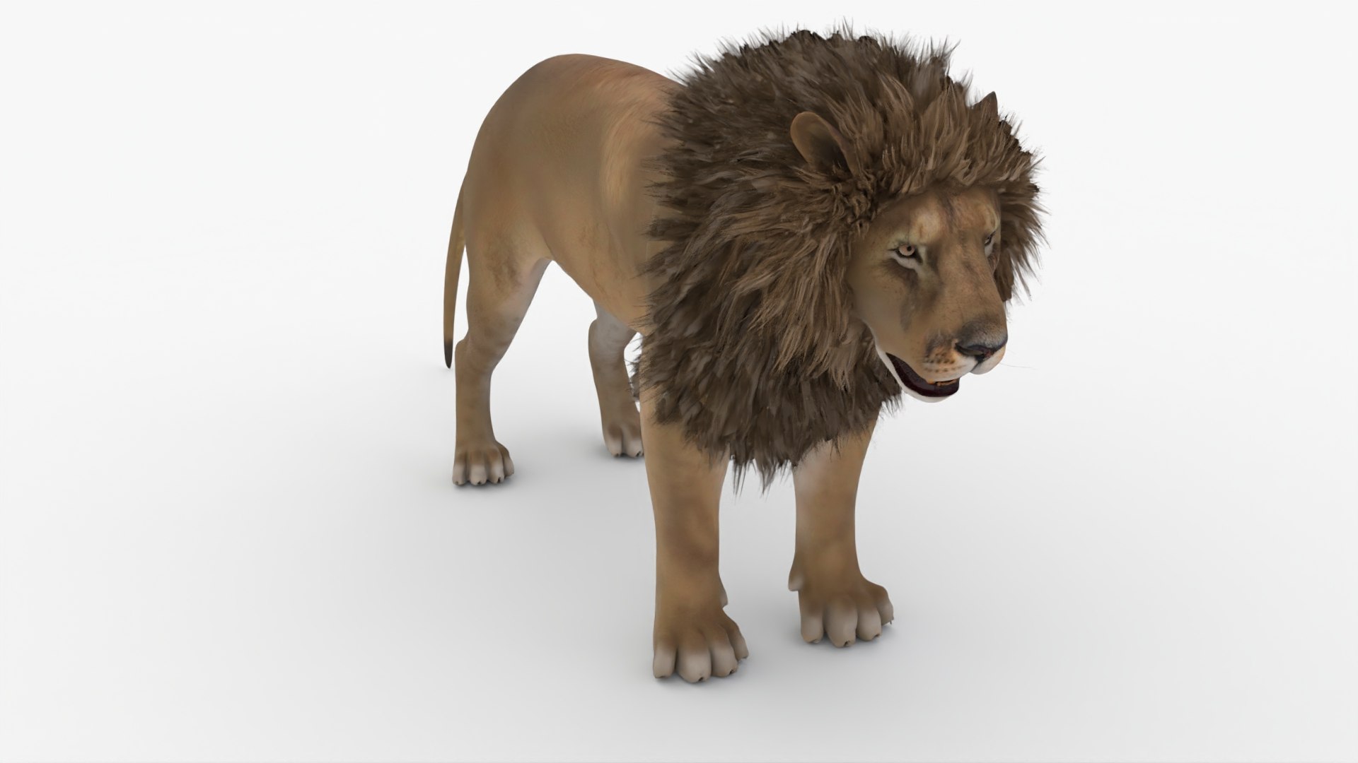 Realistic Scan Lion 3D model - TurboSquid 2067630