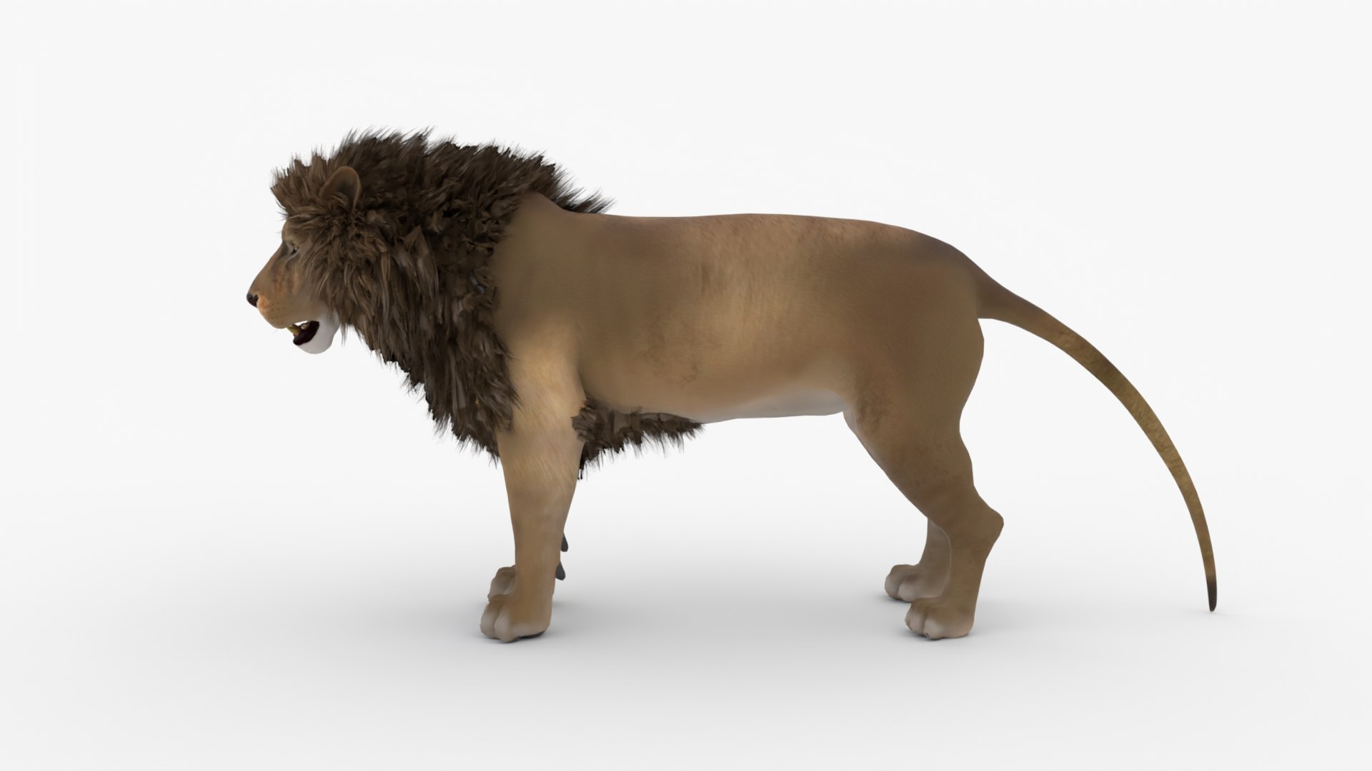 Realistic Scan Lion 3D model - TurboSquid 2067630