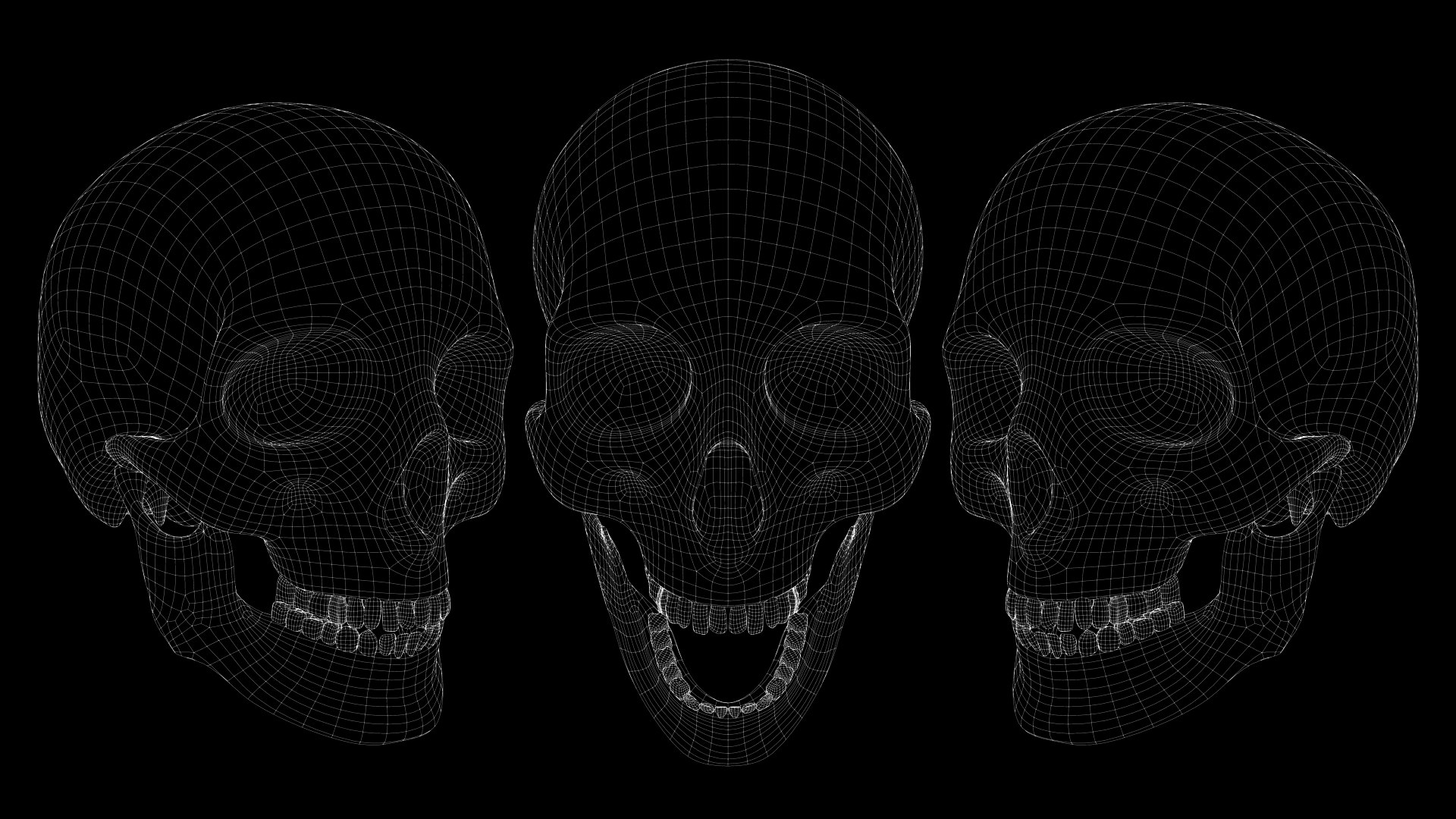 skull 3d model