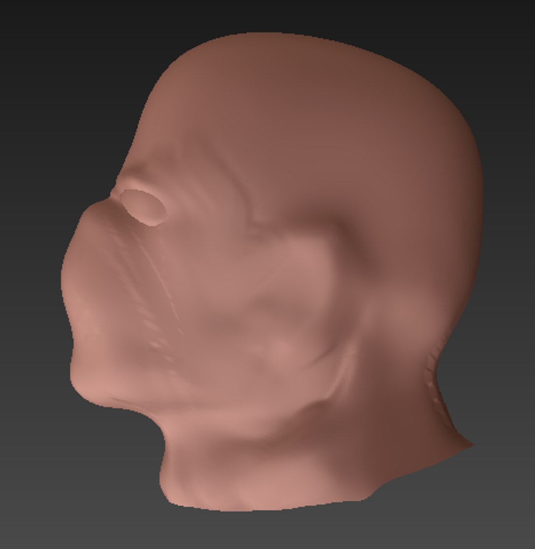 3D Human Head Template - TurboSquid 1297440