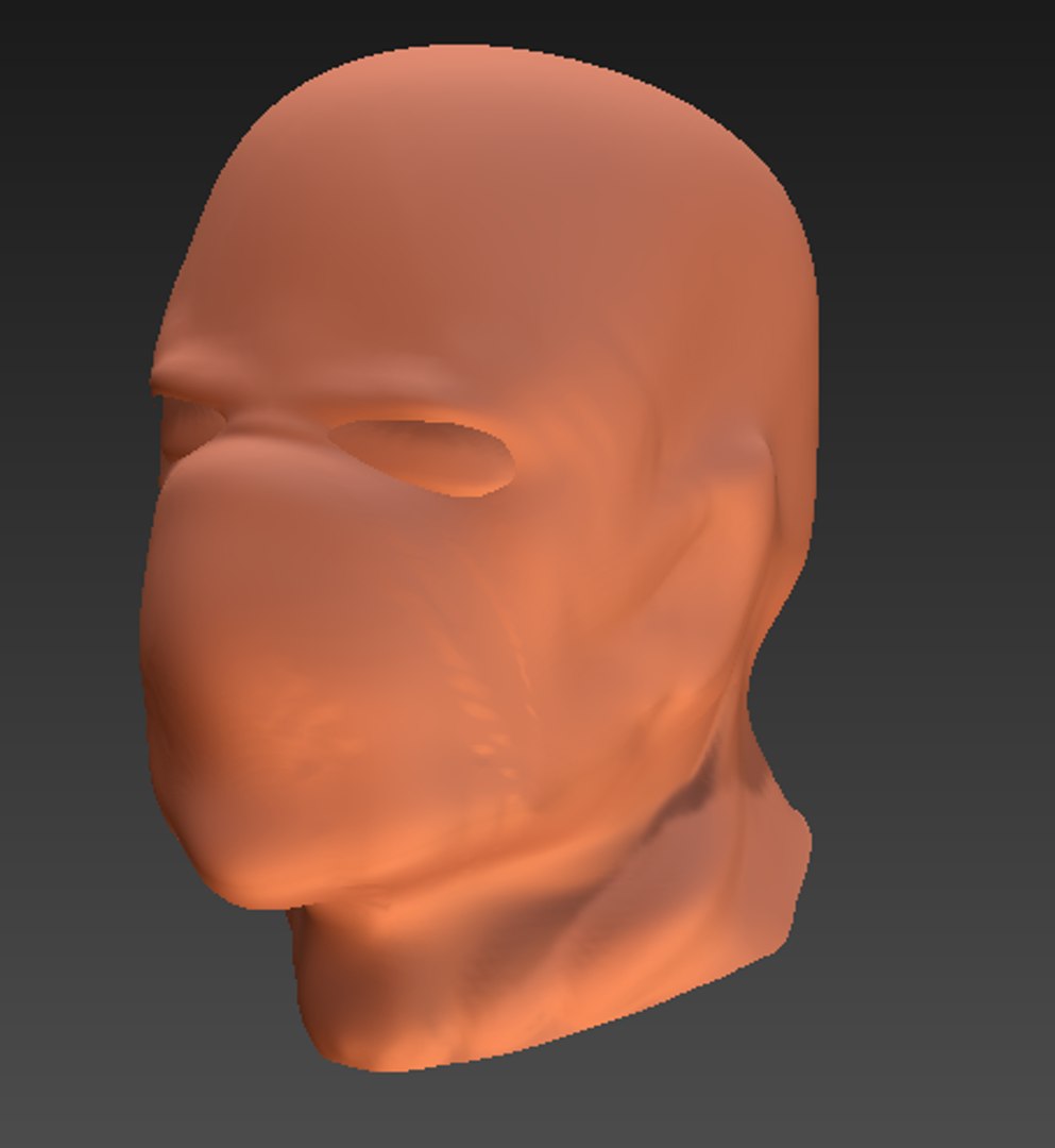 3D Human Head Template - TurboSquid 1297440
