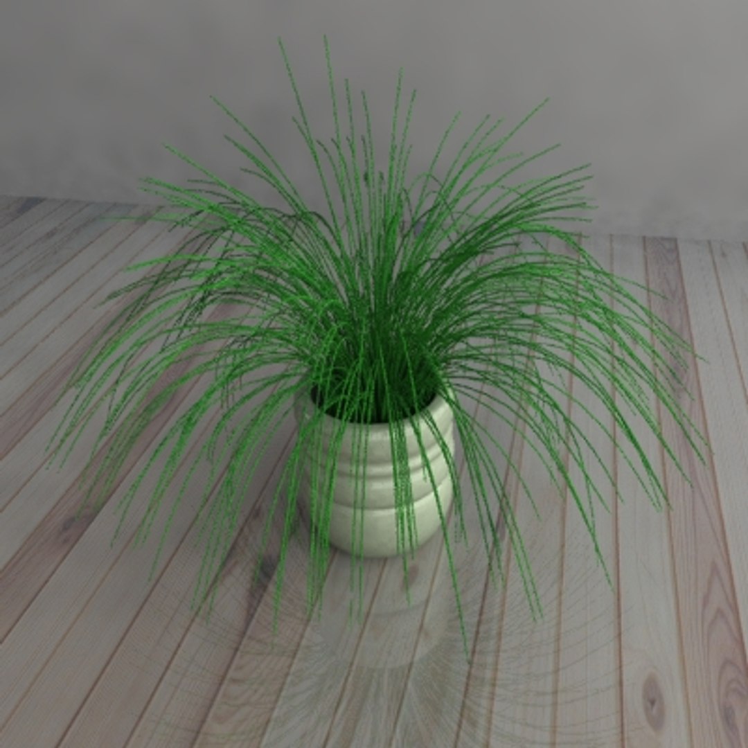 3d Plant