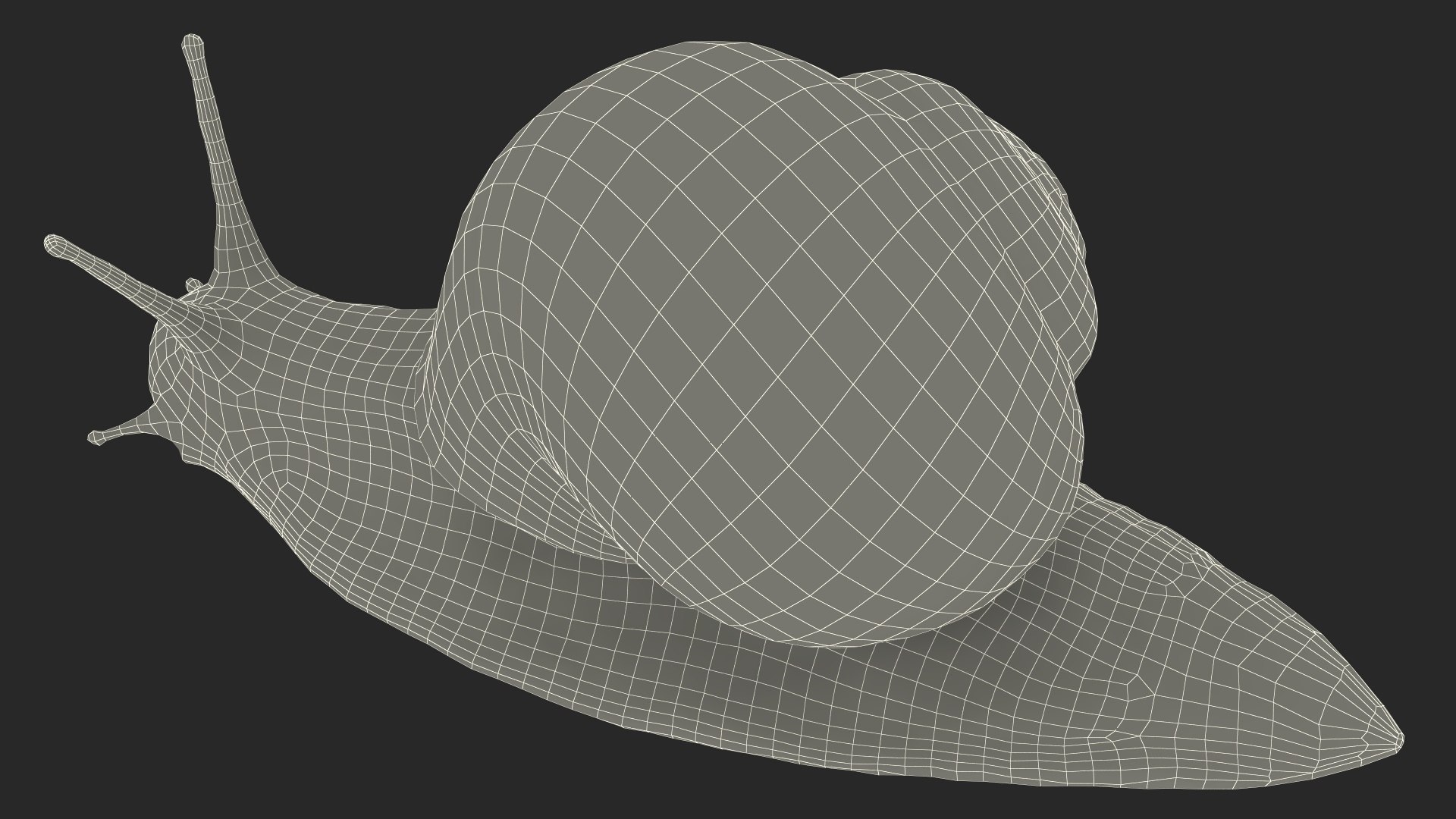 3D Model Garden Snail - TurboSquid 2184718