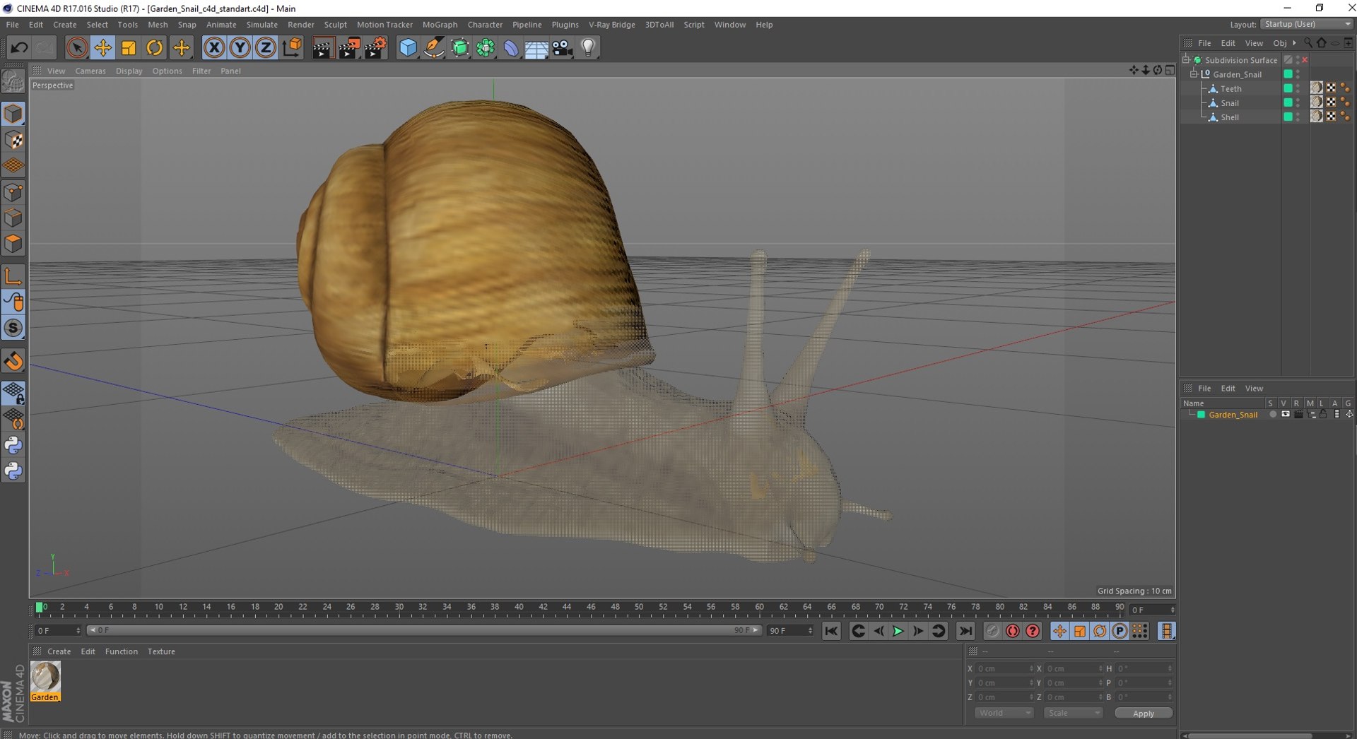 3D Model Garden Snail - TurboSquid 2184718