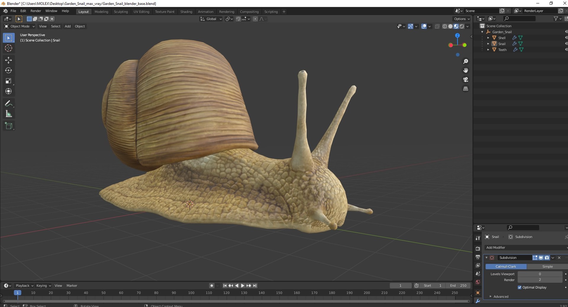 3D Model Garden Snail - TurboSquid 2184718