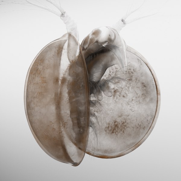 3D Parasite Models | TurboSquid