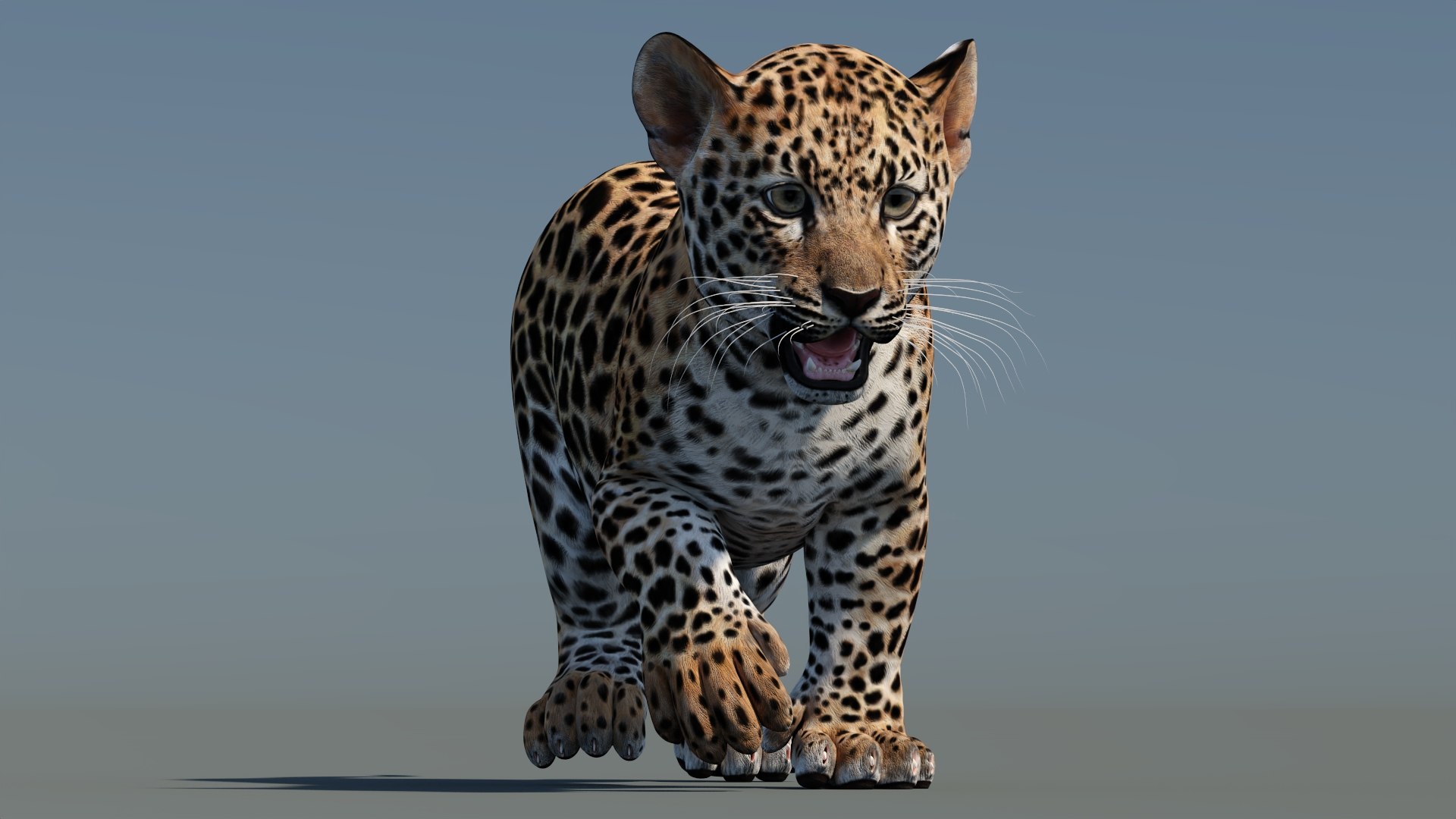 3D Animated Leopard Cub 3D Model - TurboSquid 2180259