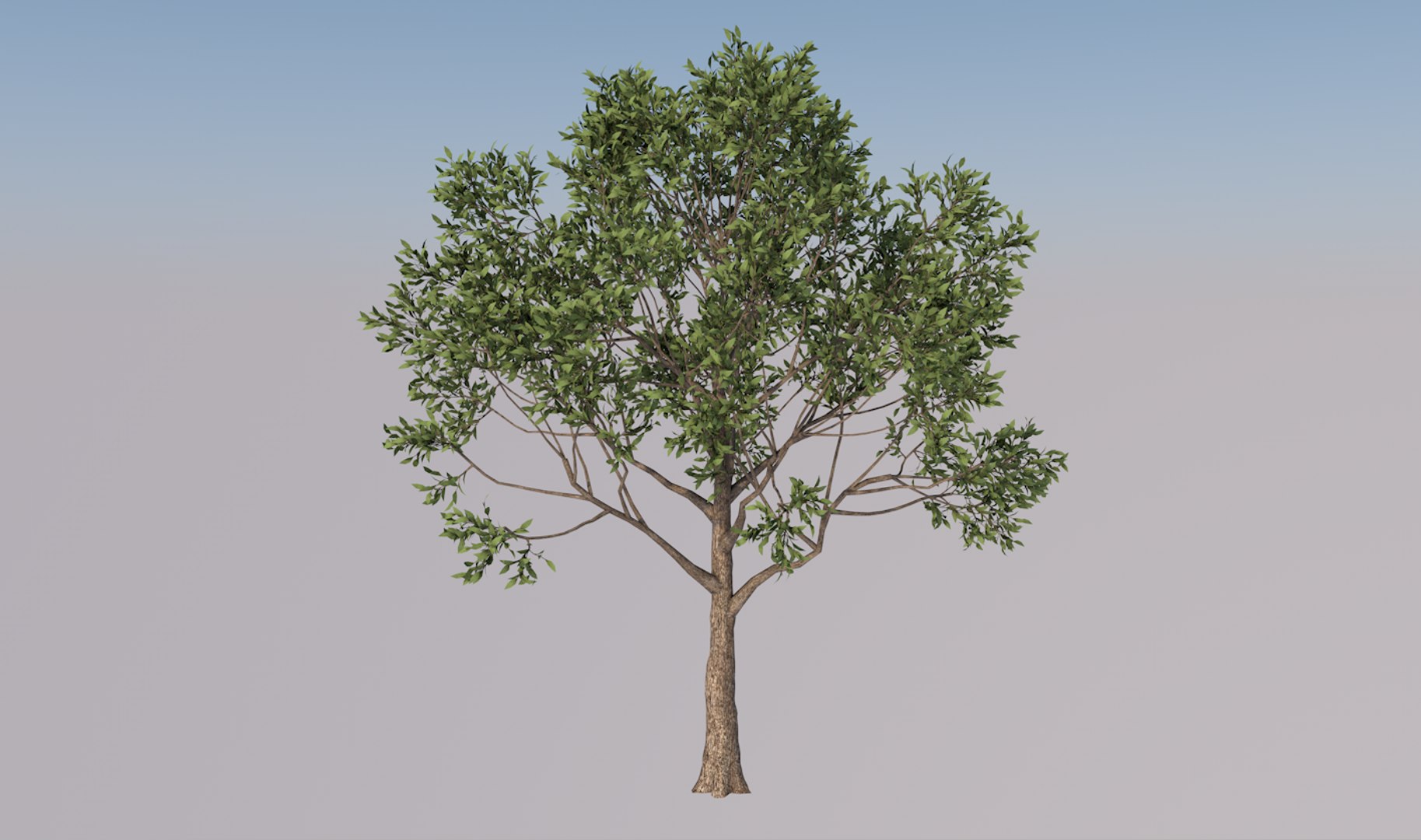 3D Apple Tree Model - TurboSquid 1343430