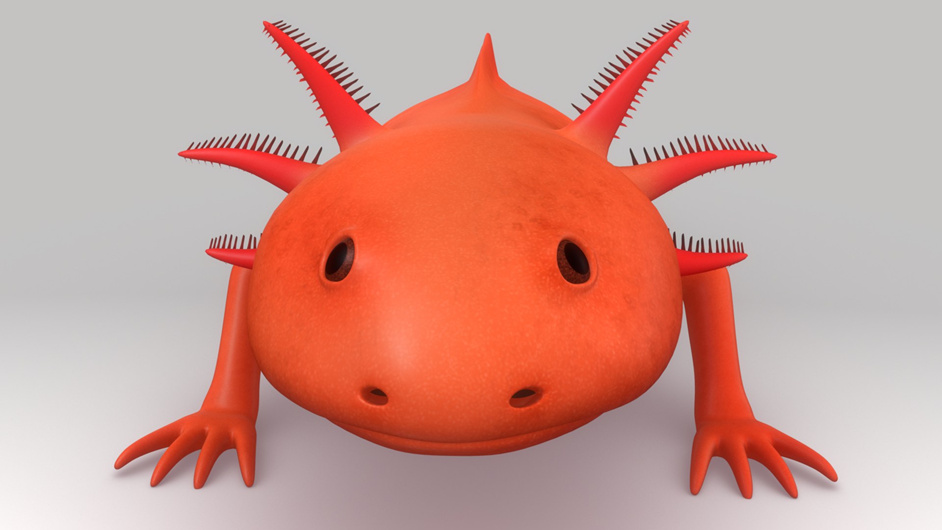 3d Axolotl Larva Model