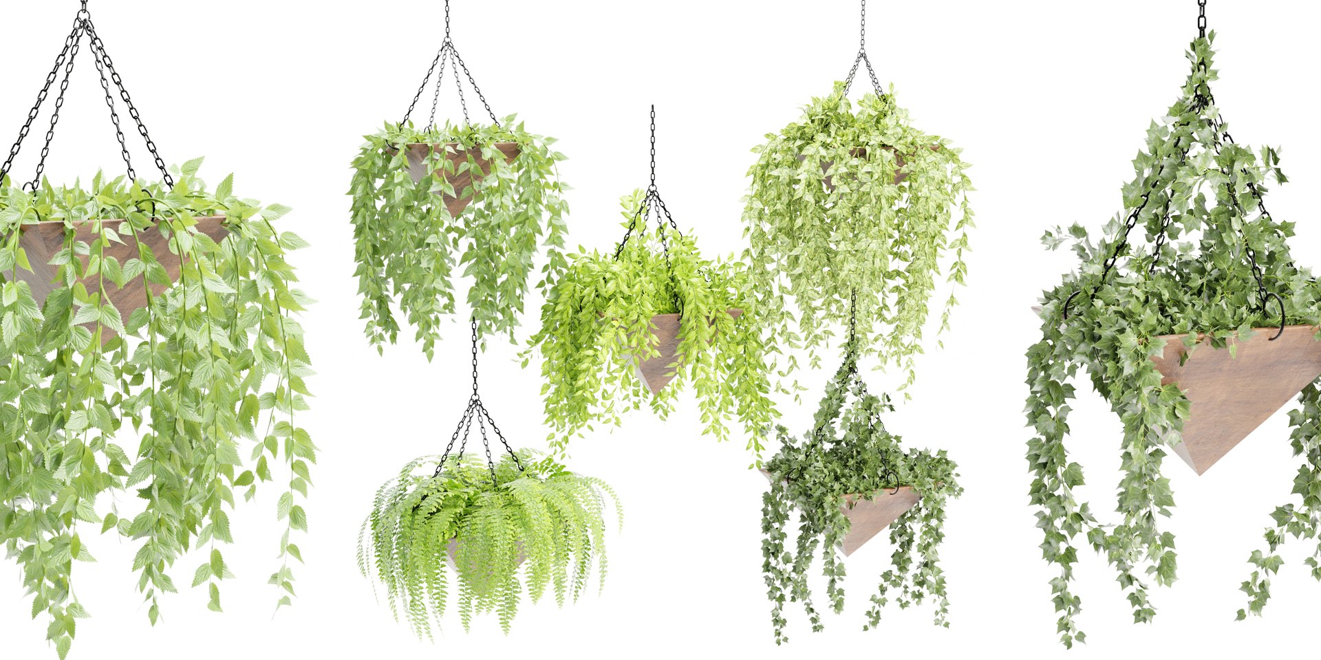 3D Hanging Plant Indoor Collection Vol 60-Blender Model - TurboSquid ...