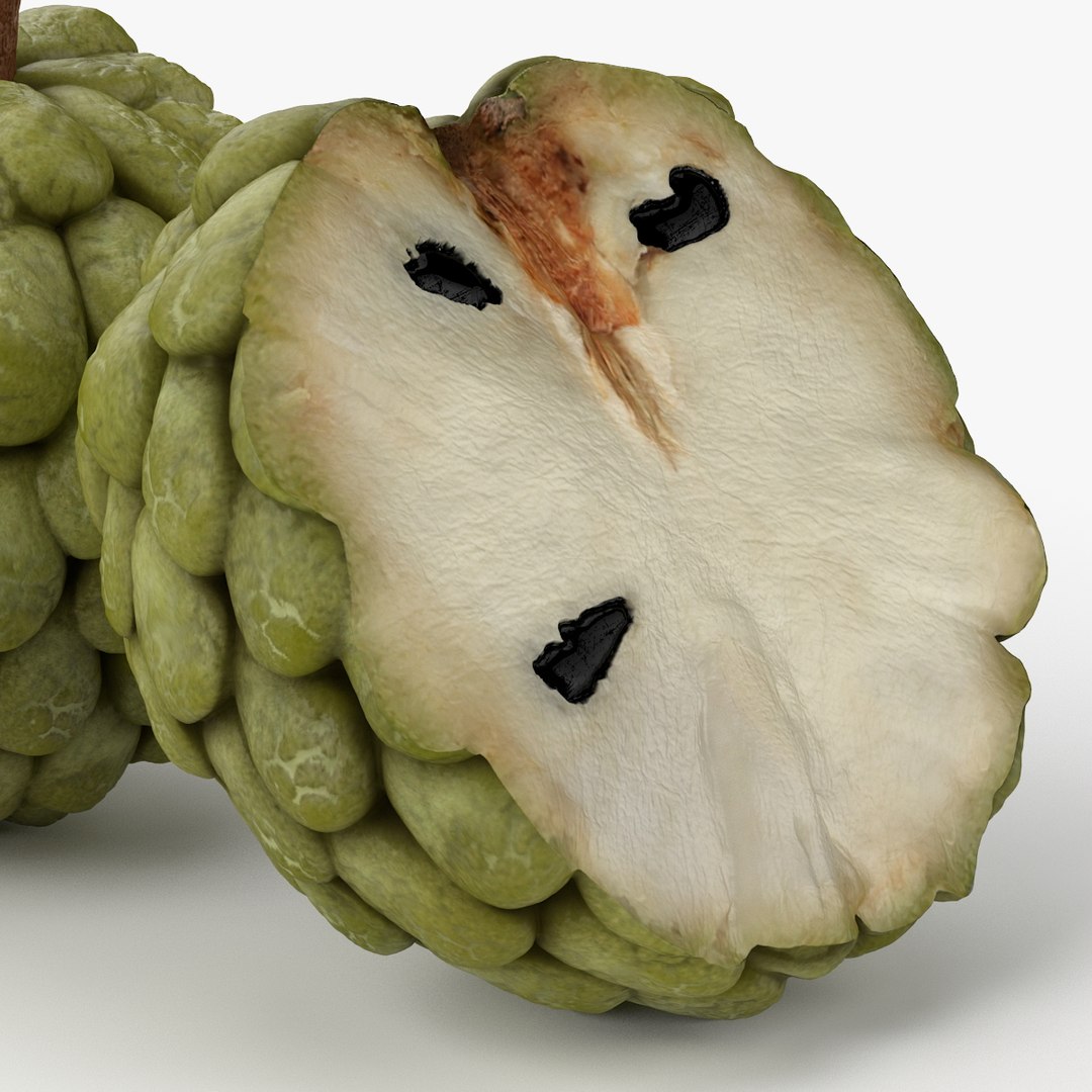 Realistic Anona Fruit Real 3d Model