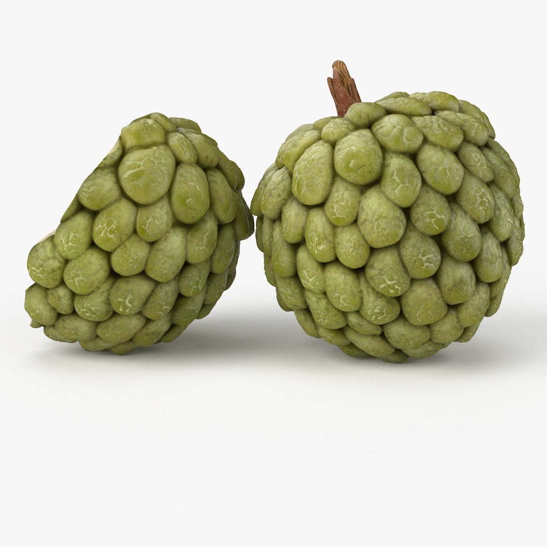 Realistic Anona Fruit Real 3d Model