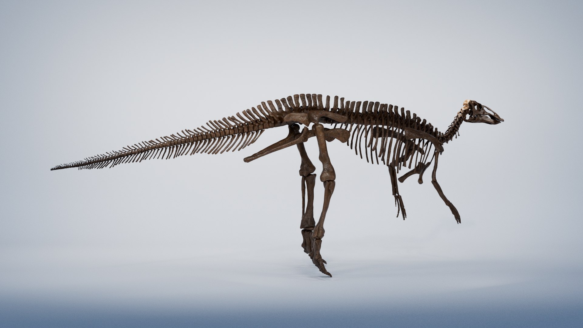 3D Edmontosaurus skeleton - TurboSquid 2049065