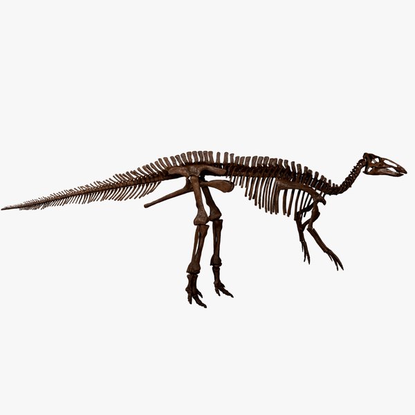 3D Edmontosaurus skeleton - TurboSquid 2049065