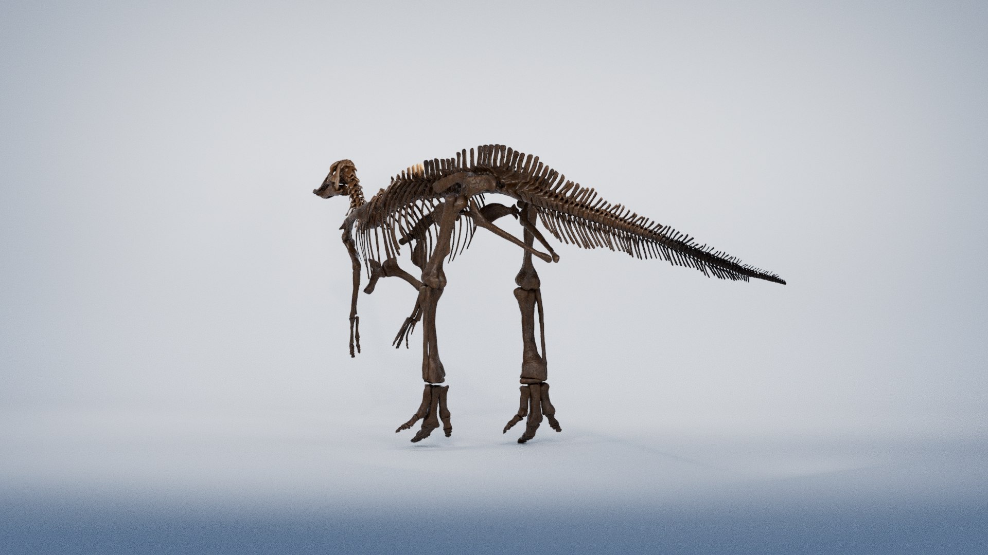 3D Edmontosaurus skeleton - TurboSquid 2049065
