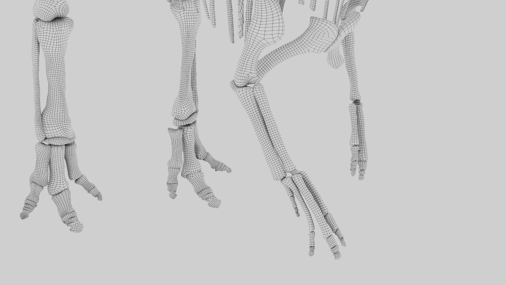 3D Edmontosaurus skeleton - TurboSquid 2049065