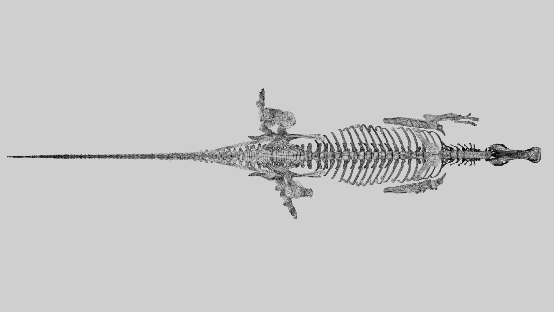 3D Edmontosaurus Skeleton - TurboSquid 2049065