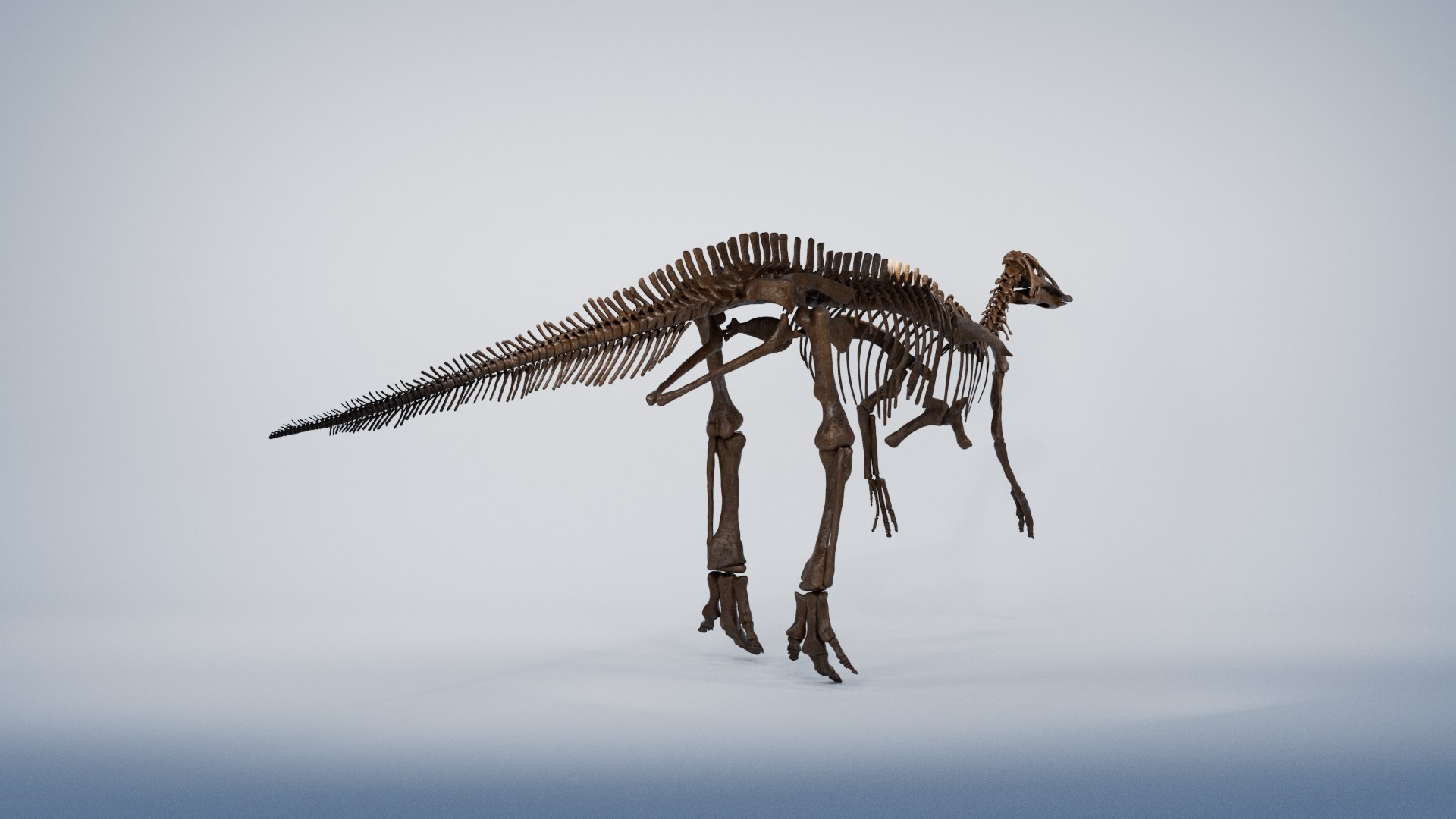 3D Edmontosaurus skeleton - TurboSquid 2049065