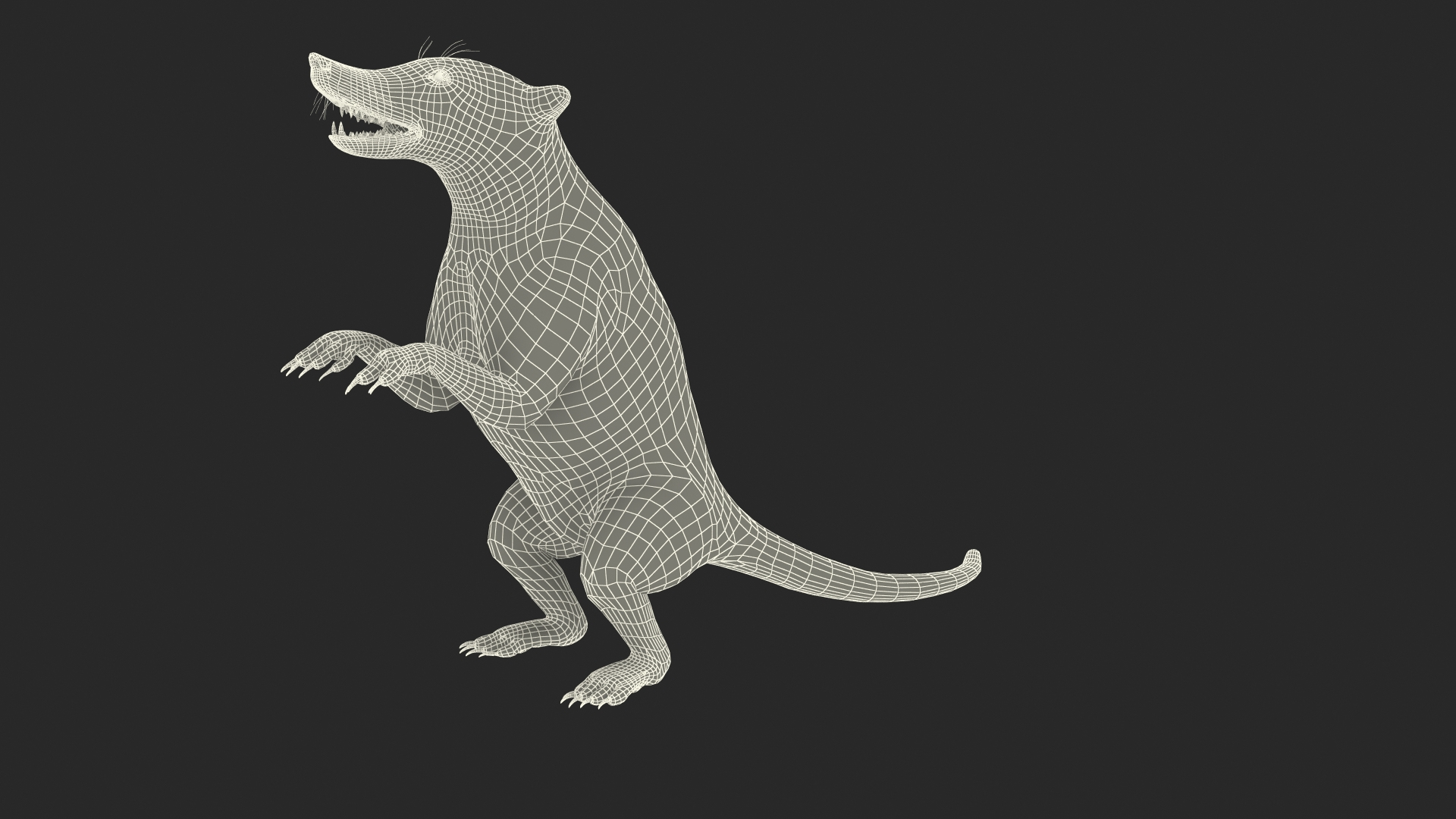 Standing Nasua 3D Model - TurboSquid 2193385