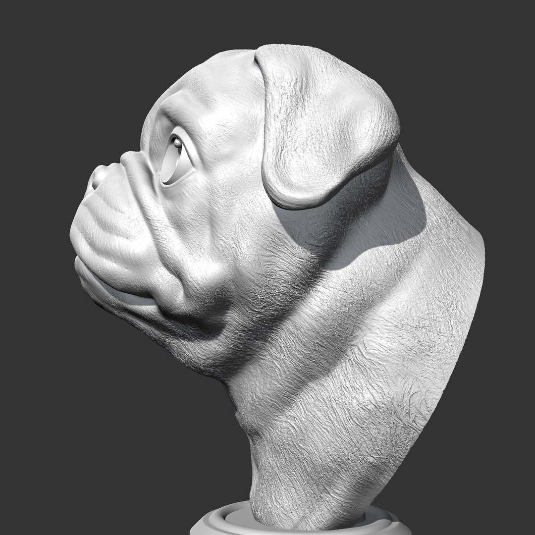 Pug Head AM36 3D Print Model 3D Model - TurboSquid 2261038