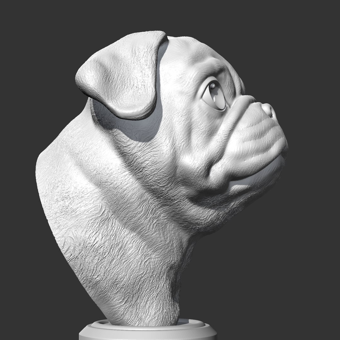 Pug Head AM36 3D Print Model 3D Model - TurboSquid 2261038