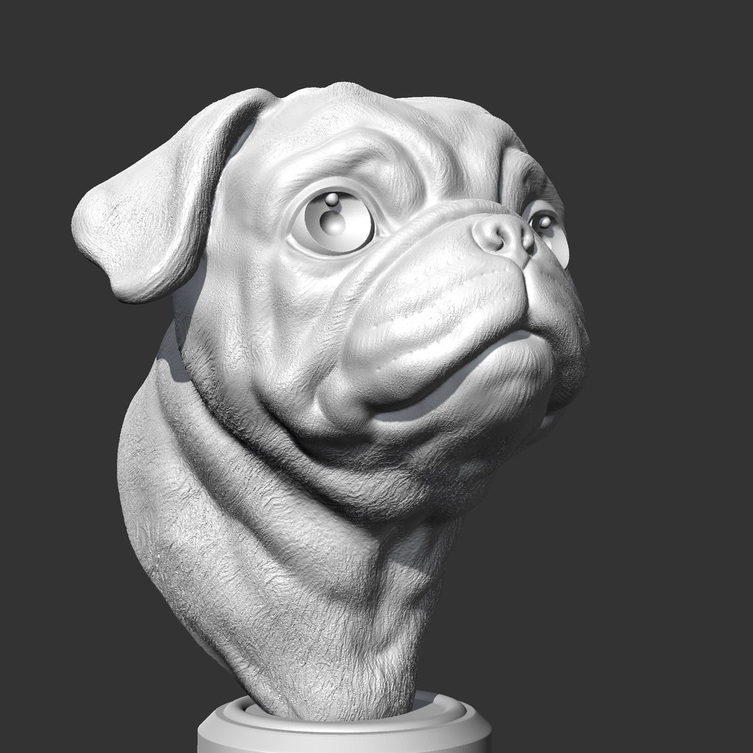 Pug Head AM36 3D Print Model 3D Model - TurboSquid 2261038