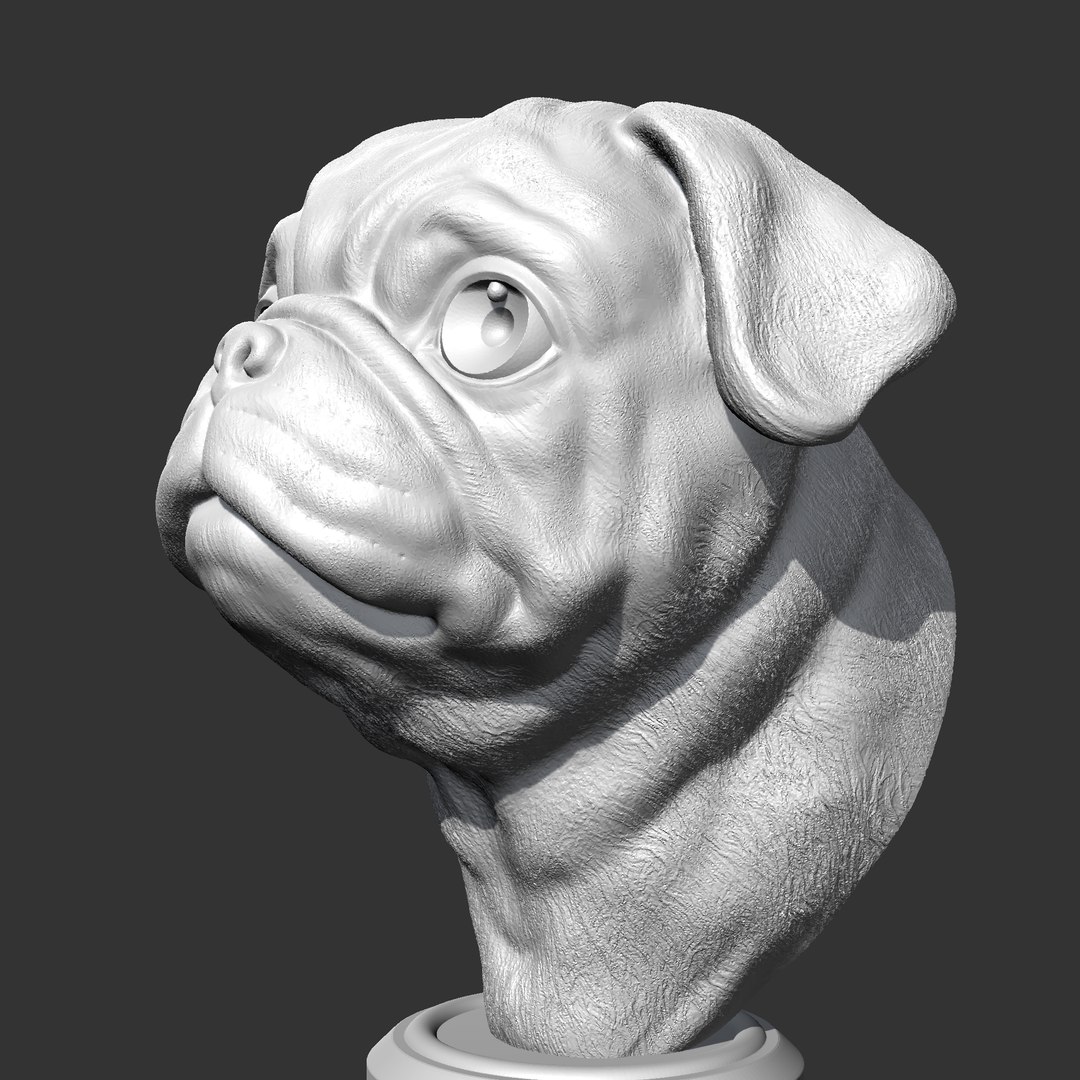 Pug Head AM36 3D Print Model 3D Model - TurboSquid 2261038
