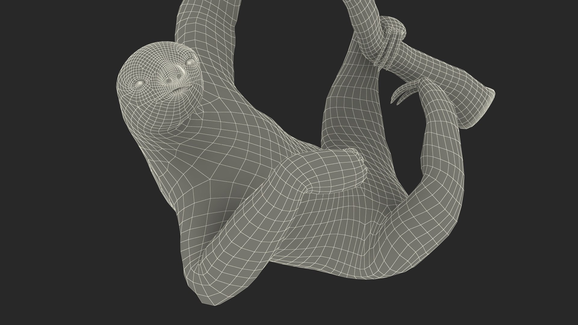 3D Model Sloth Hanging From A Branch Fur - TurboSquid 2177340