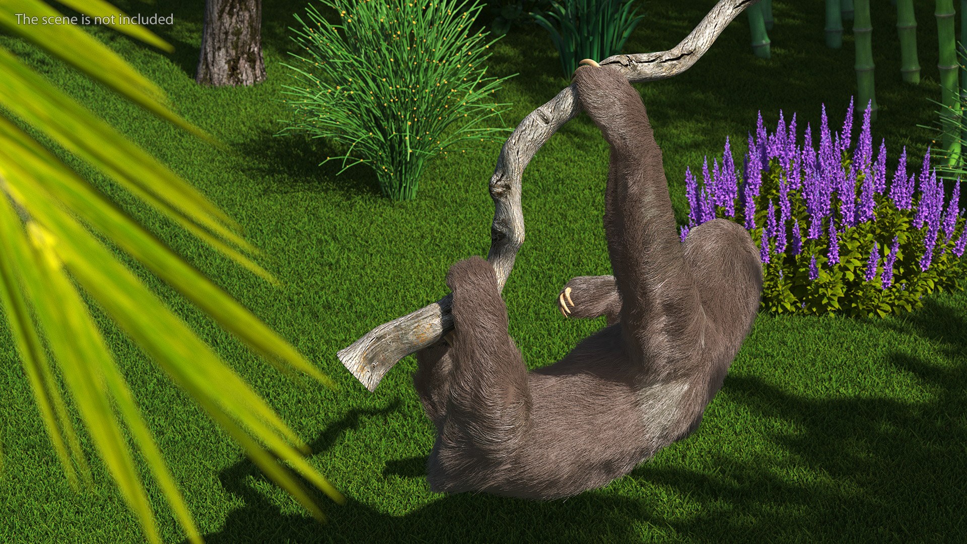 3D Model Sloth Hanging From A Branch Fur - TurboSquid 2177340