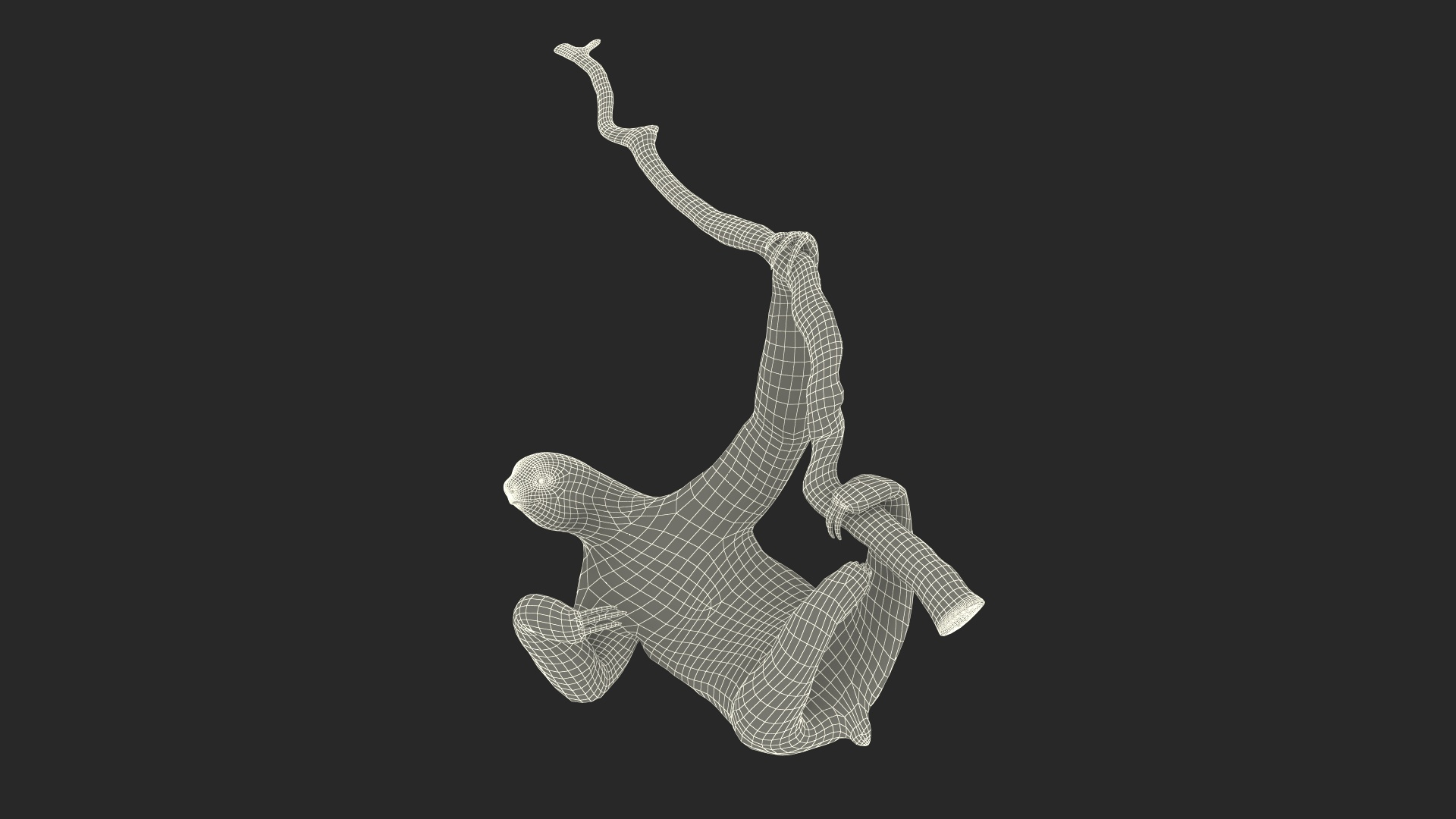 3D Model Sloth Hanging From A Branch Fur - TurboSquid 2177340
