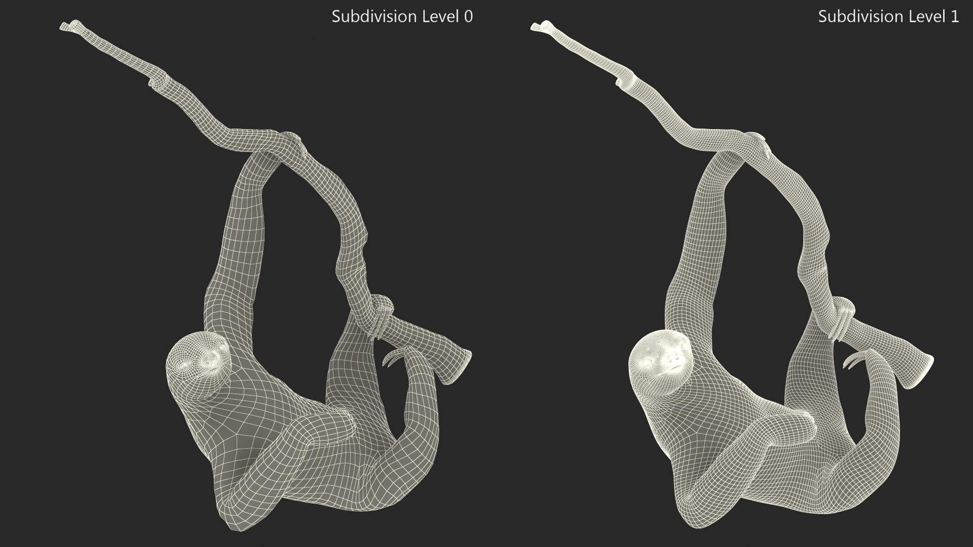 3D Model Sloth Hanging From A Branch Fur - TurboSquid 2177340