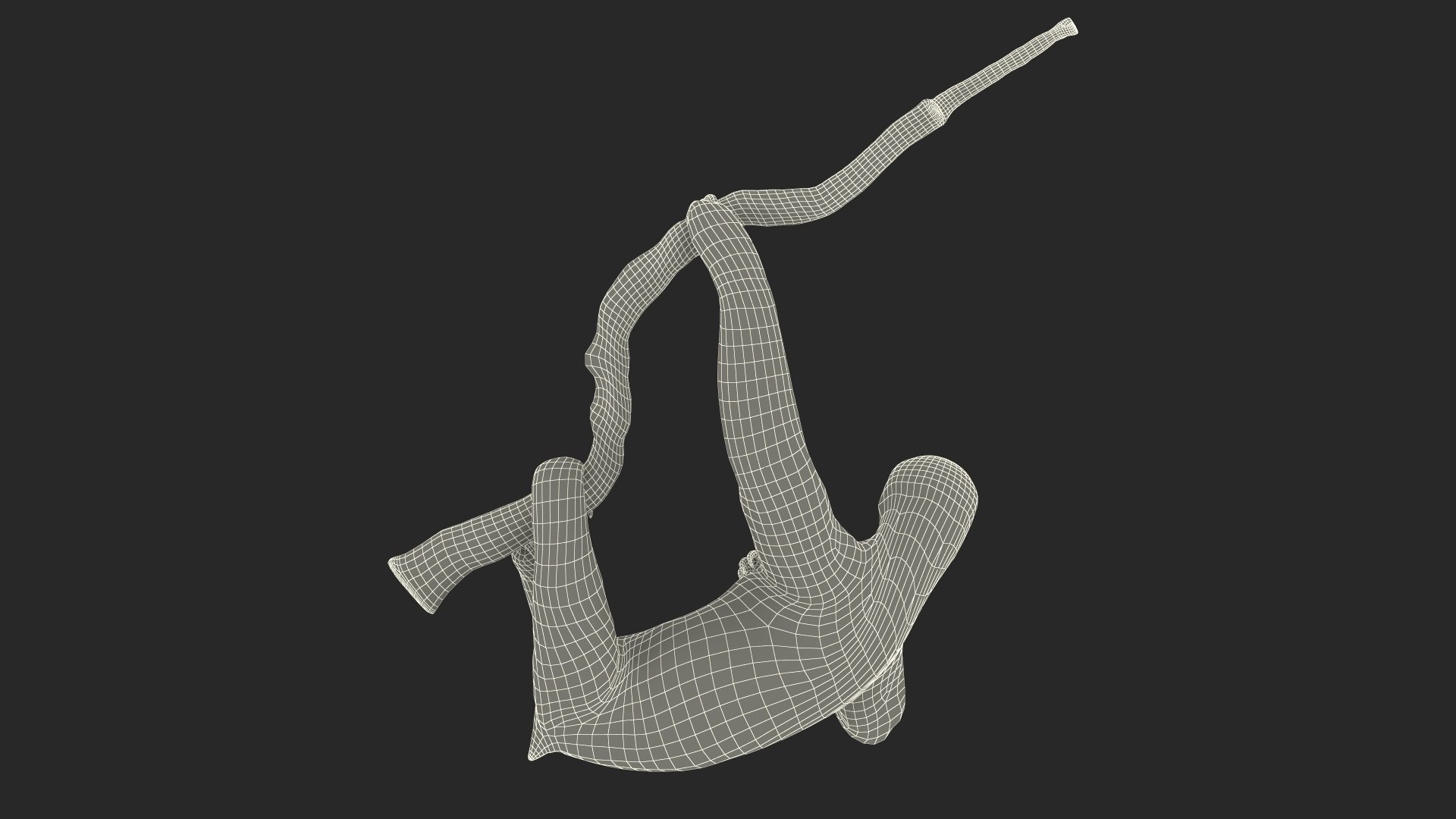 3D Model Sloth Hanging From A Branch Fur - TurboSquid 2177340