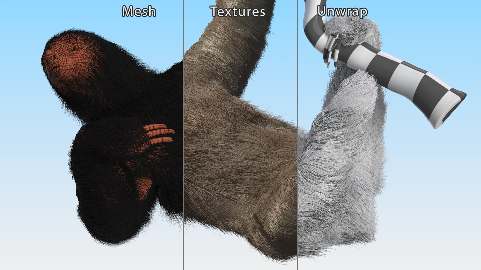 3D Model Sloth Hanging From A Branch Fur - TurboSquid 2177340