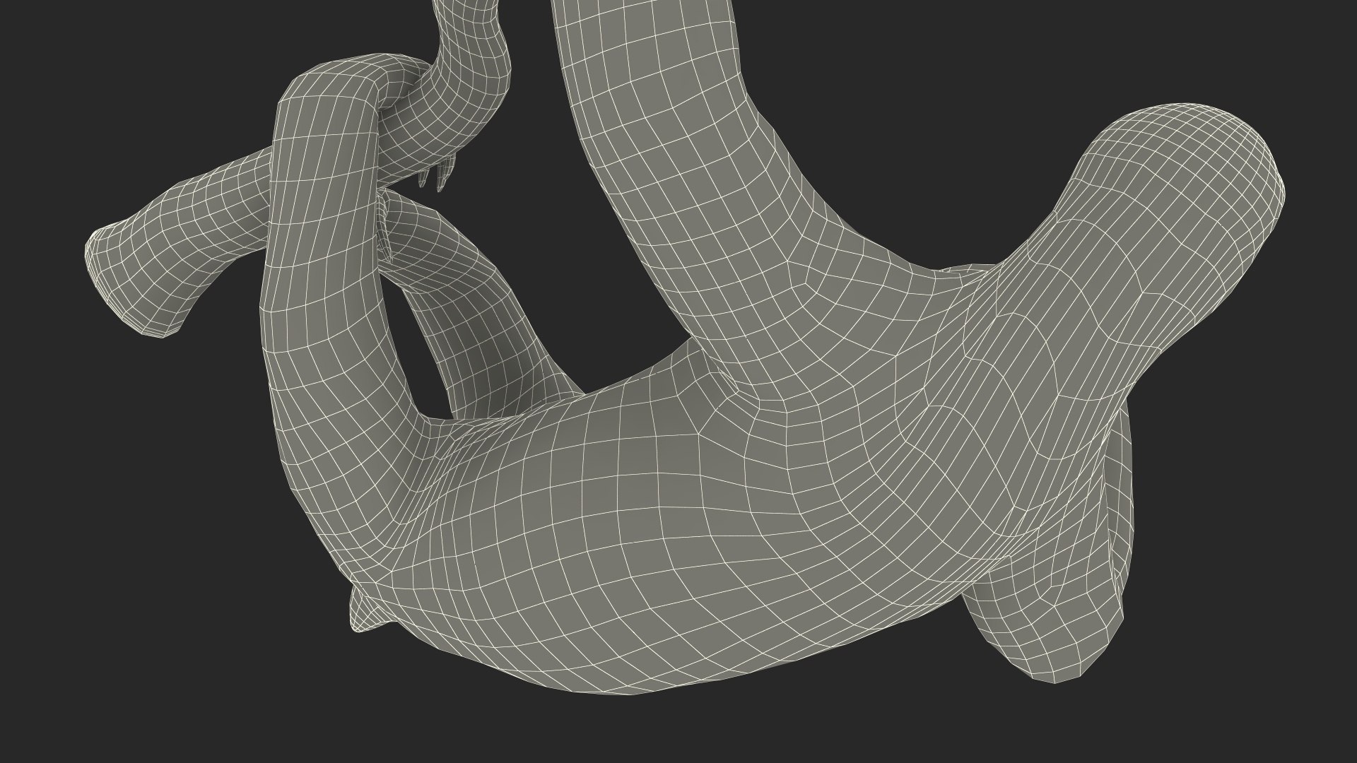 3D Model Sloth Hanging From A Branch Fur - TurboSquid 2177340