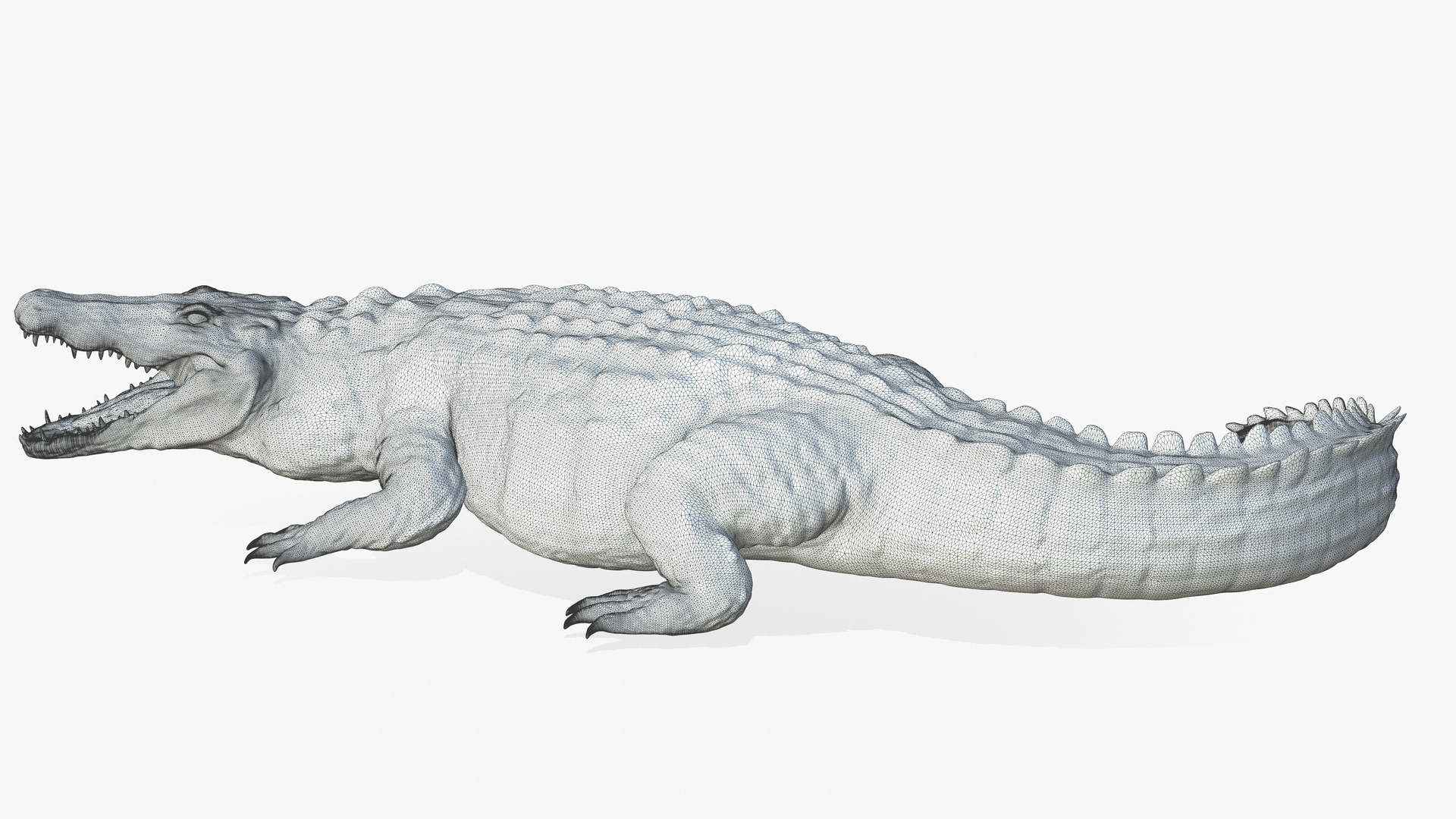 3D Crocodile Realistic model - TurboSquid 1909699