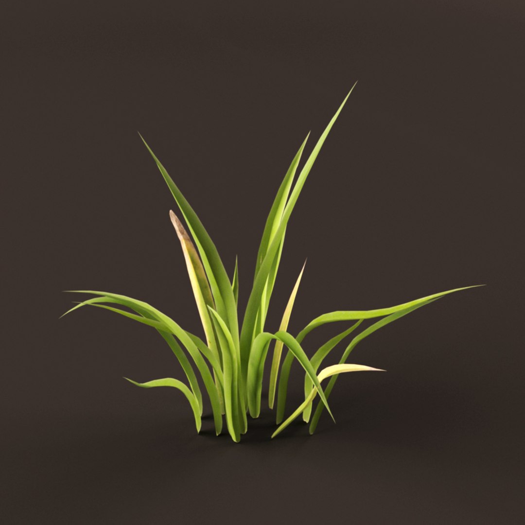 Realistic Lawn Grass Clump 3ds