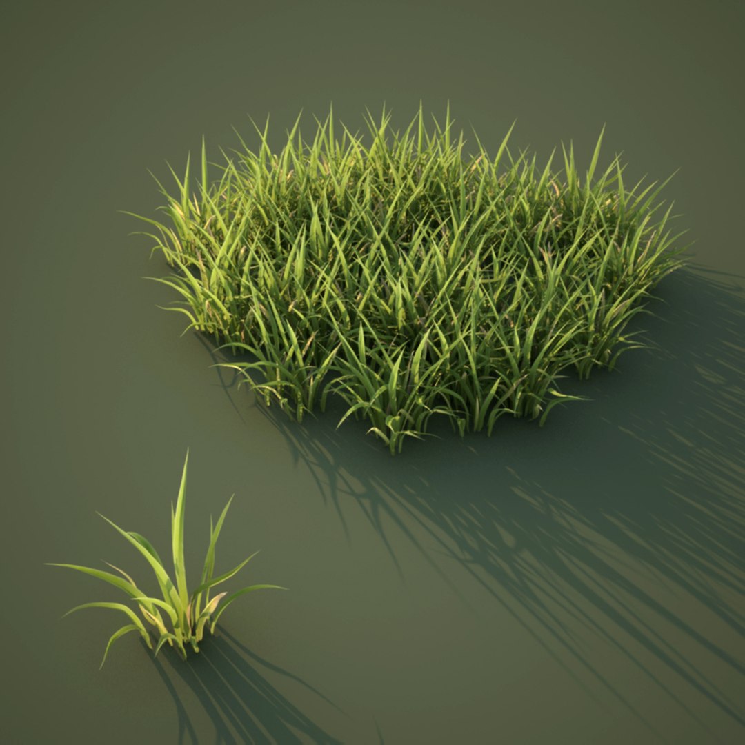 Realistic Lawn Grass Clump 3ds