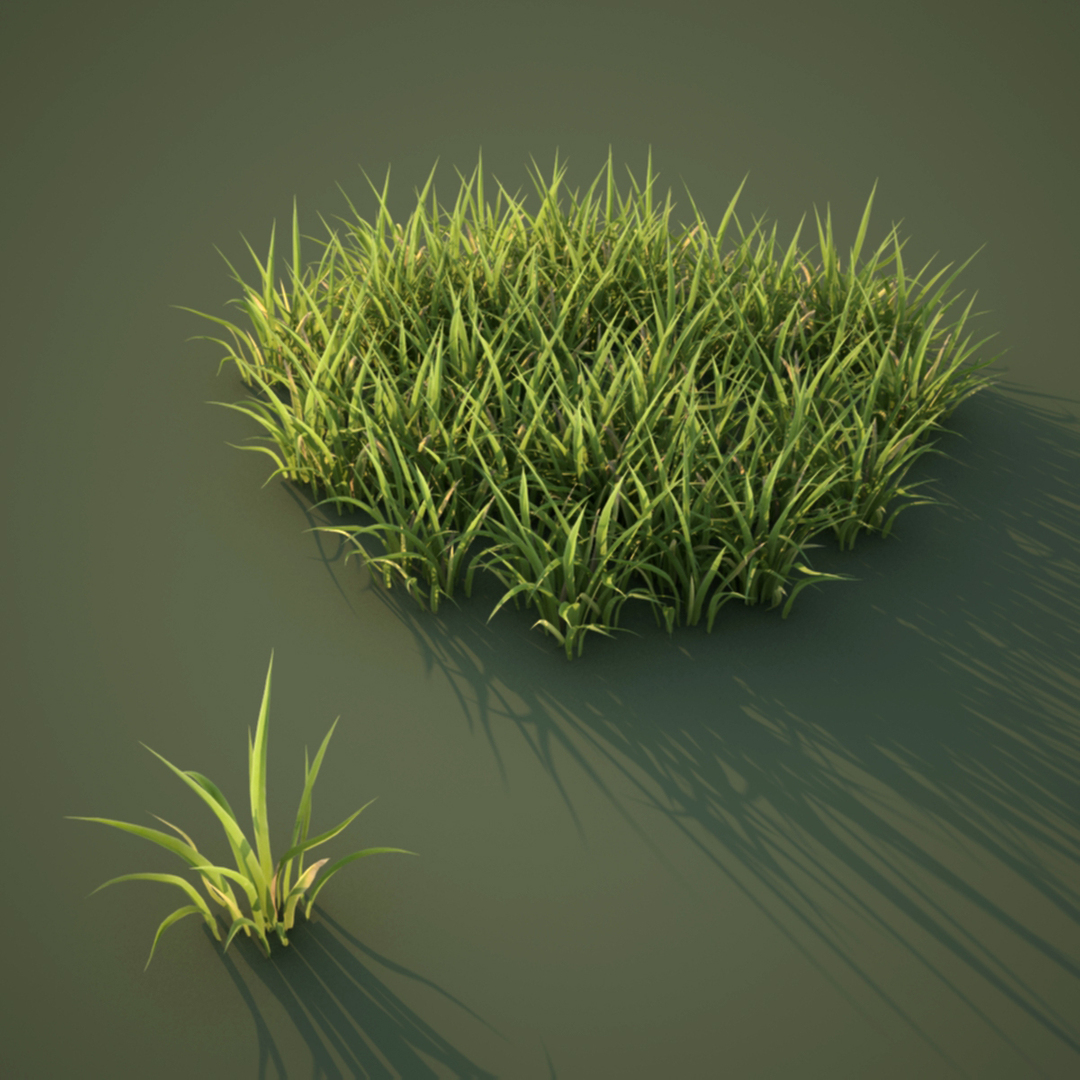 realistic lawn grass clump 3ds
