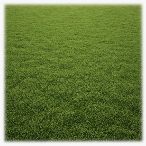 3d grass lawn model