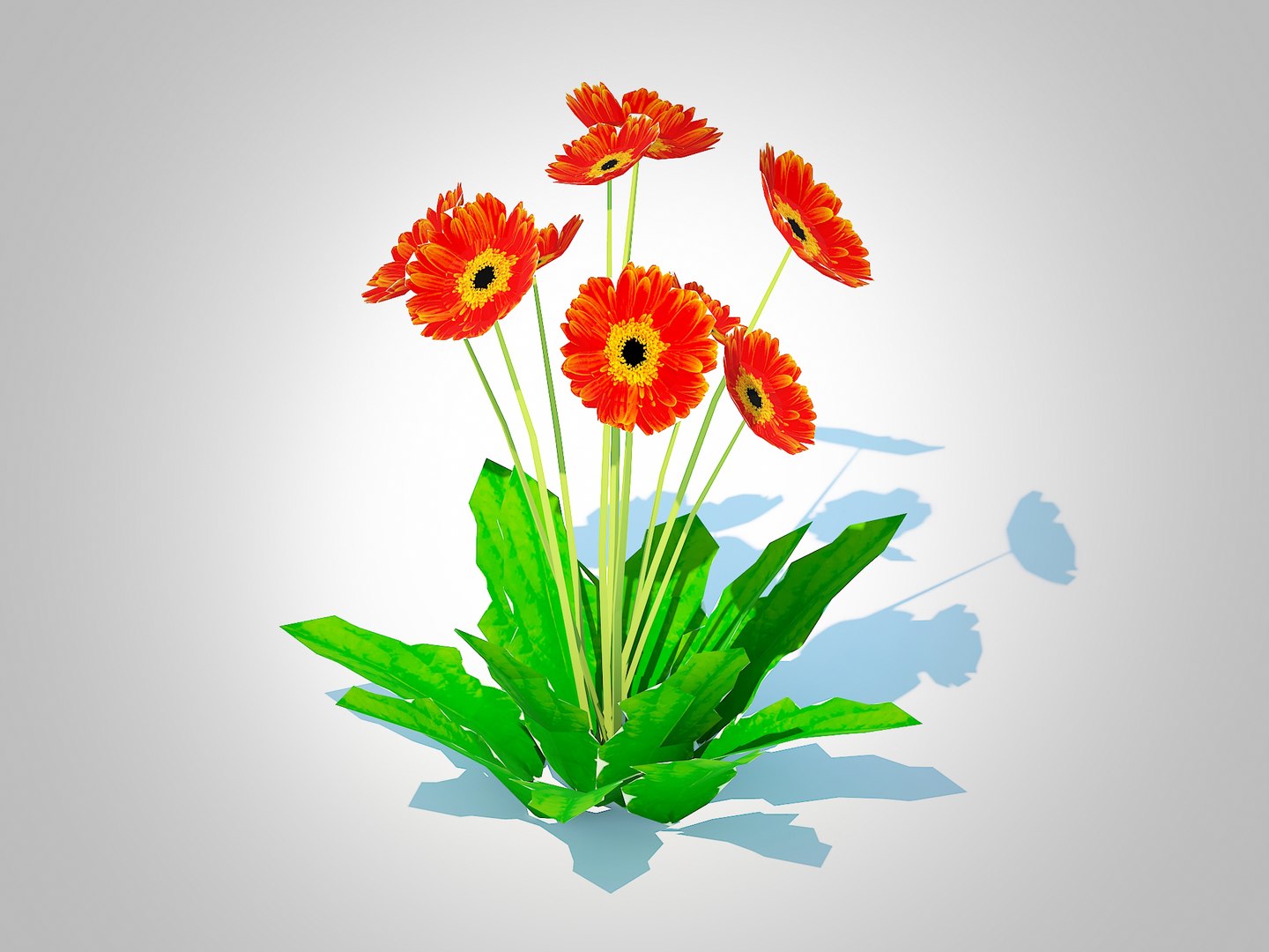 Gerbera - Gerbera DaisyOrangeFlower Model - TurboSquid 2306833