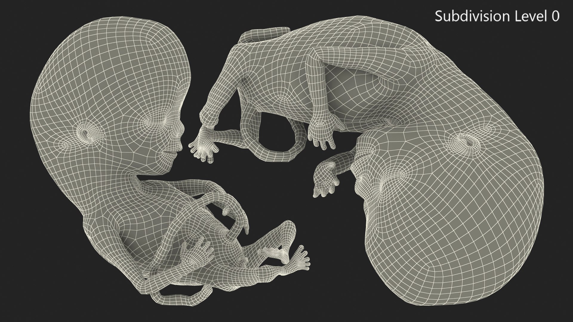 3D Human Fetus 12 Weeks Rigged For Modo - TurboSquid 1718225