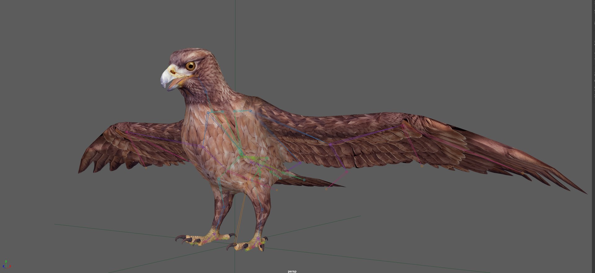 Eagle Rig Low Poly 3D Model - TurboSquid 2436130