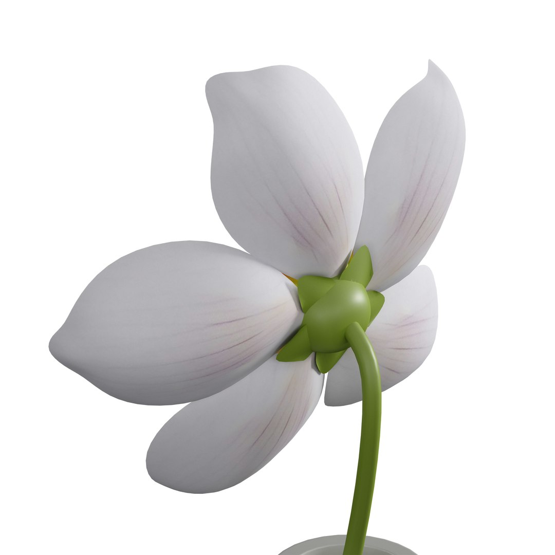 Flower In A Jug Anemone 3D Model - TurboSquid 2324623